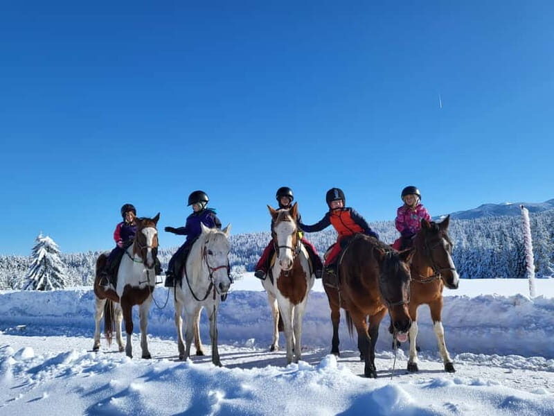 Borovets: Horse Riding Experience - Reviews from Participants