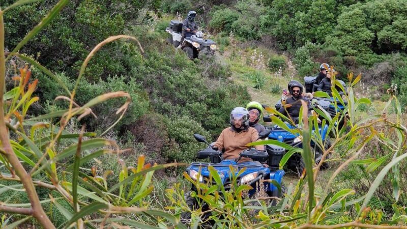 Bosa: Coast and Country Guided Quad Bike Tour - A Thrilling Way to Discover Bosa and Its Surroundings
