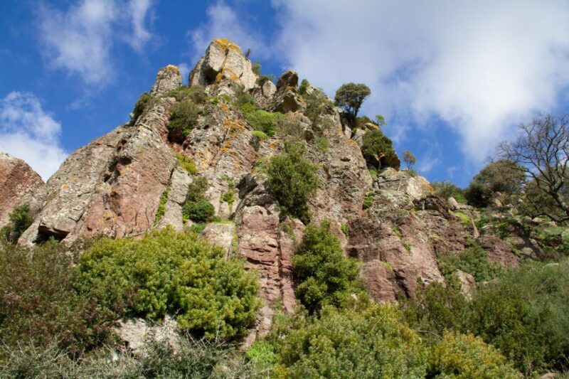 Bosa: Coast and Country Guided Quad Bike Tour - What the Reviews Say: Authentic Perspectives