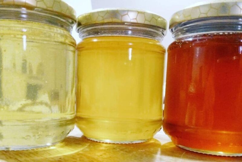 Bosa: discover the products of the beehive - The Experience in Detail