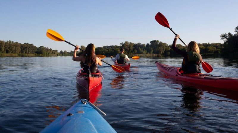 Bosa: Temo River Kayak Rental - The Sum Up