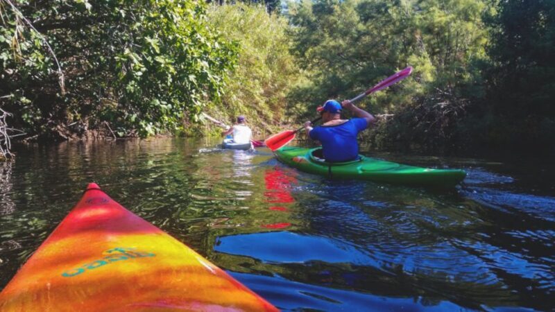 Bosa: Temo River Kayak Rental - Frequently Asked Questions