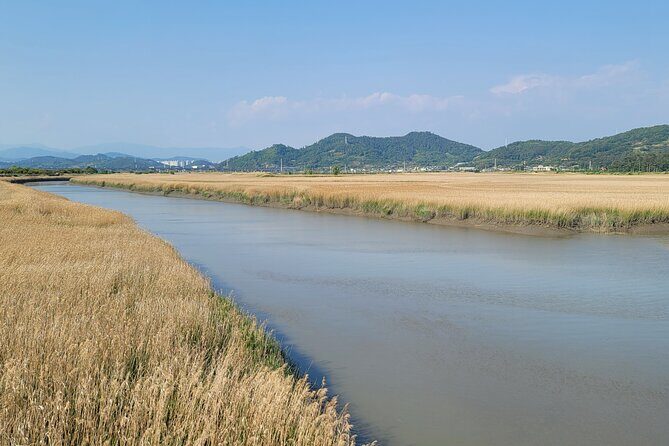 Boseong Tea Plantation & Suncheon National Garden[Train+Bus] - The Value of the Experience