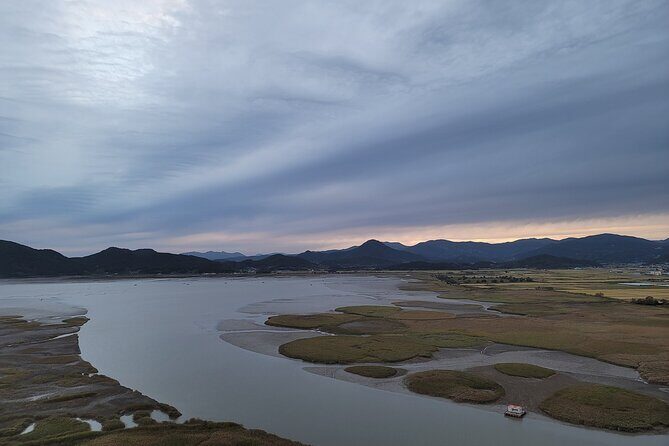 Boseong Tea Plantation & Suncheon National Garden[Train+Bus] - Who Should Consider This Tour?