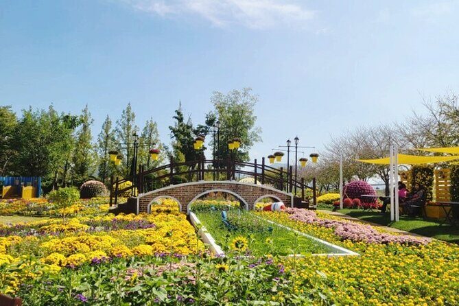 Boseong Tea Plantation & Suncheon National Garden[Train+Bus] - FAQ