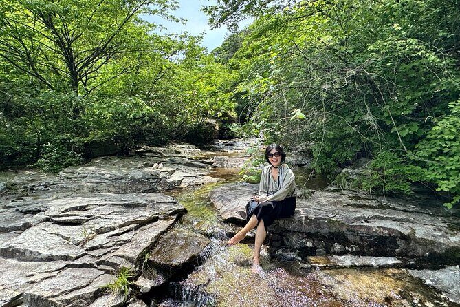 Boseong Tour : Green Tea Field, Mountain & Lake Trail (Private) - Practical Details: What You Need to Know