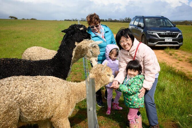 Boshack Farm - Animal, Wildlife, Stargazing Nature Aussie culture - Key Points