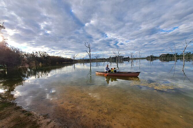 Boshack Farm - Animal, Wildlife, Stargazing Nature Aussie culture - Culinary Highlights and Cultural Touches