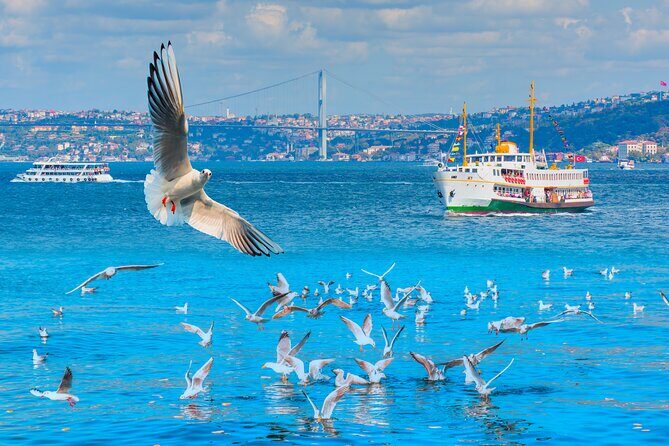 Bosphorus Boat Cruise & Two Continents Tour with Lunch - Who Should Consider This Tour?