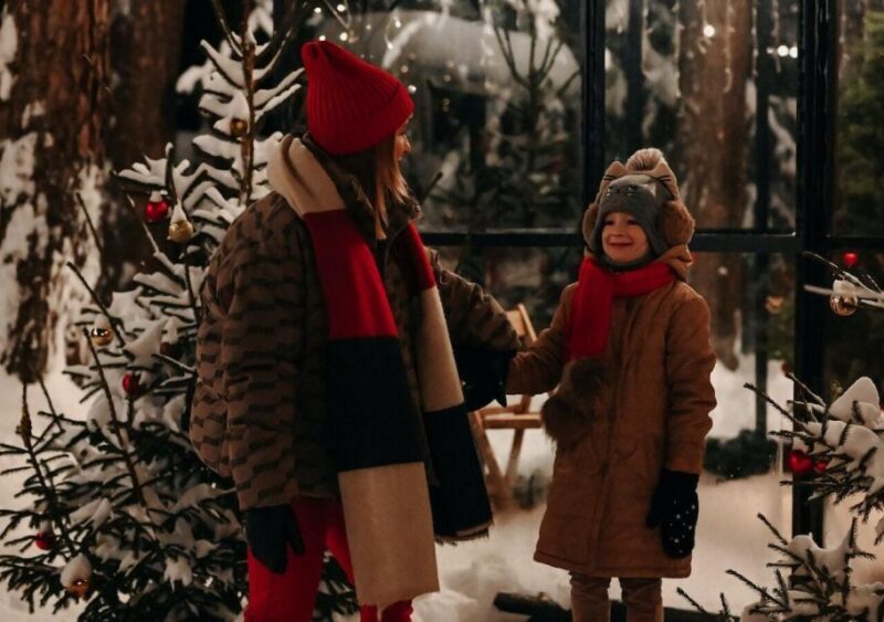 Boston: A Bostonian Christmas Private Tour - Boston: A Bostonian Christmas Private Tour — A Festive Look at the Heart of the City