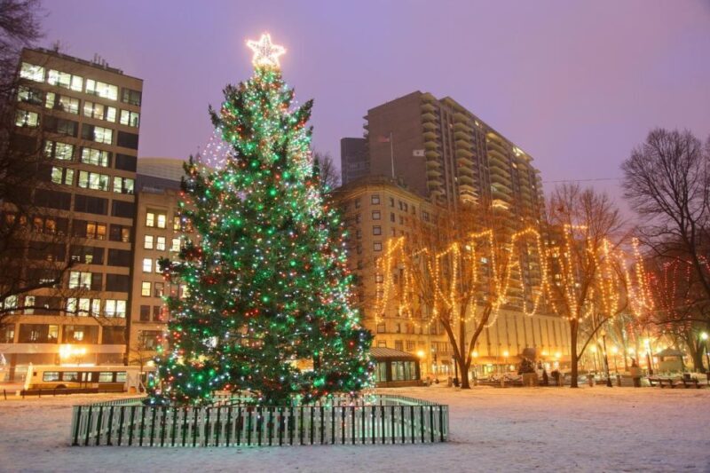 Boston: A Bostonian Christmas Private Tour - Breaking Down the Itinerary: A Closer Look at Boston’s Holiday Highlights
