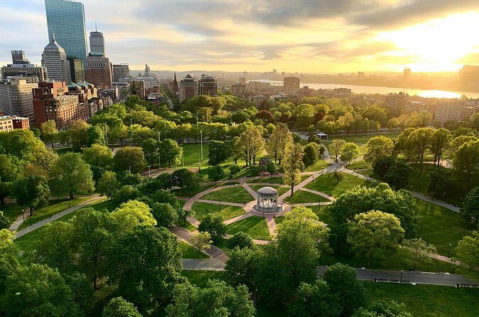 Boston & Cambridge Icons: Private 7-Hour Discovery Tour - Is This Tour Worth the Price?