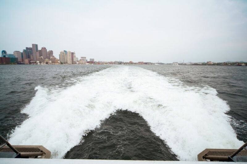 Boston: City Cruises Whale Watching Cruise - Final Thoughts: The Marine Adventure of a Lifetime