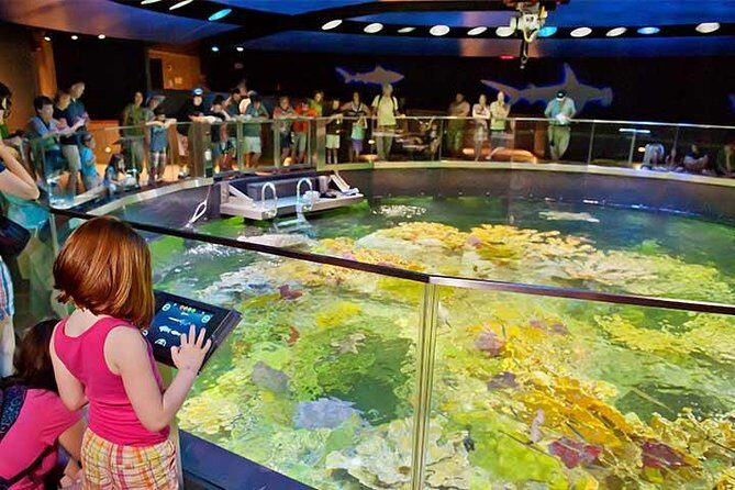 Boston CityPASS® - What You Can Expect with the Boston CityPASS®