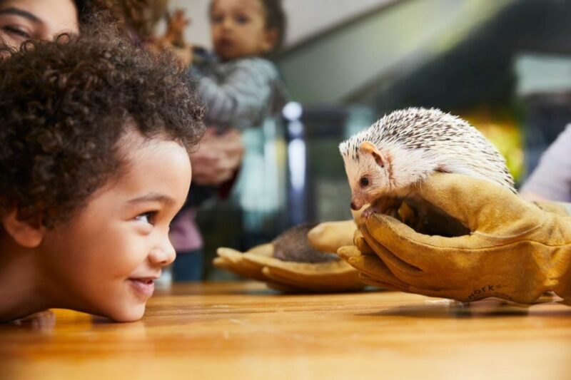 Boston CityPASS®: Save up to 46% at 4 Top Attractions - Who Should Consider the Boston CityPASS®