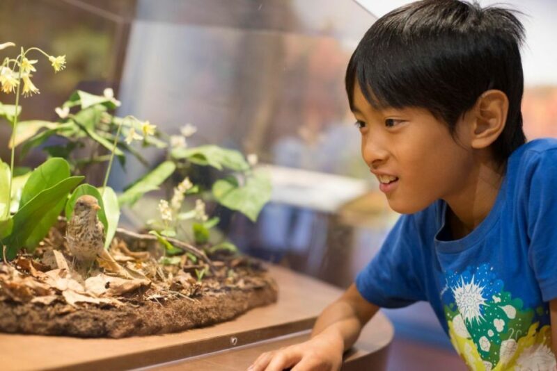 Boston CityPASS®: Save up to 46% at 4 Top Attractions - The Sum Up: Is the Boston CityPASS® Worth It?