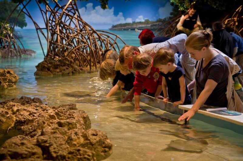 Boston CityPASS®: Save up to 46% at 4 Top Attractions - Final Thoughts: Who Should Consider the Boston CityPASS®