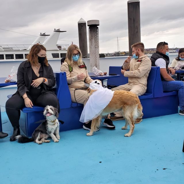 Boston: Dog-Friendly Halloween Costume & Sightseeing Cruise - Practical Details and Tips