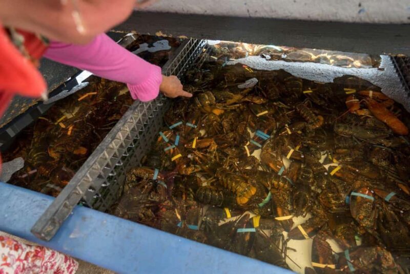 Boston: Guided Seafood Tasting and History Tour - Who Would Love This Tour?