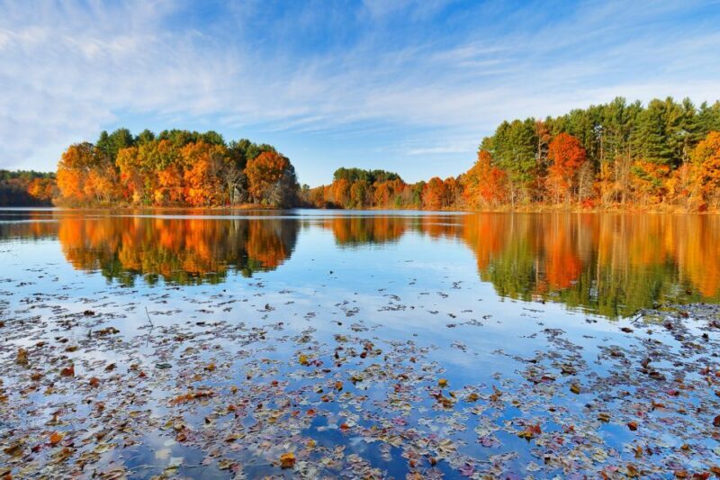Boston Harbor Fall Foliage Weekend Brunch Cruise - Frequently Asked Questions