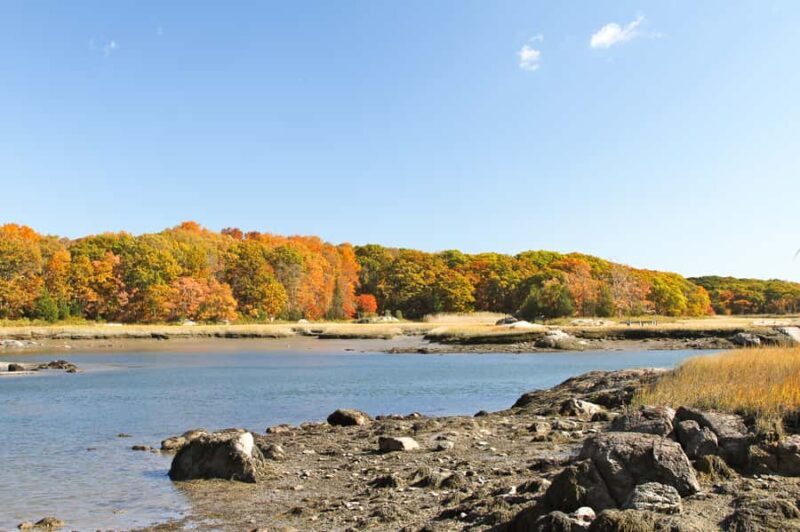 Boston Harbor: Fall Luncheon Cruise - FAQ