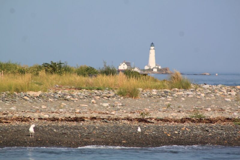 Boston Harbor: Fall Luncheon Cruise - Final Thoughts