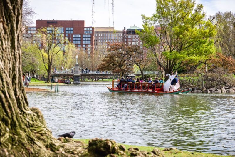 Boston History and Freedom Trail Private Walking Tour - An Introduction to Boston’s Historic Heart