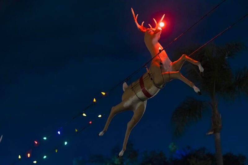 Boston: Holiday Sights and Festive Nights Trolley Tour - The Guide and Overall Atmosphere