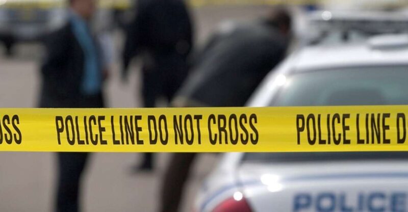 Boston: In Cold Blood True Crime Guided Walking Tour - What Reviewers Are Saying