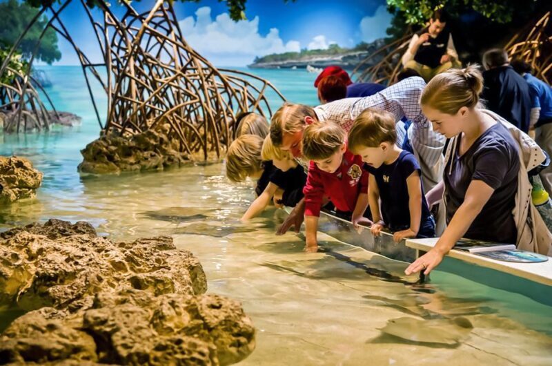 Boston: New England Aquarium Entry + Optional Simons Theatre - Frequently Asked Questions