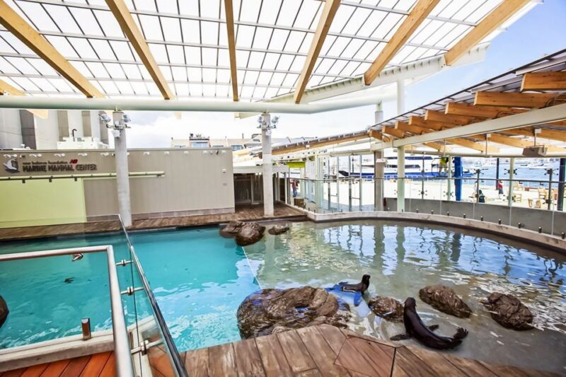 Boston: New England Aquarium Skip-the-Line Entry Ticket - Key Points