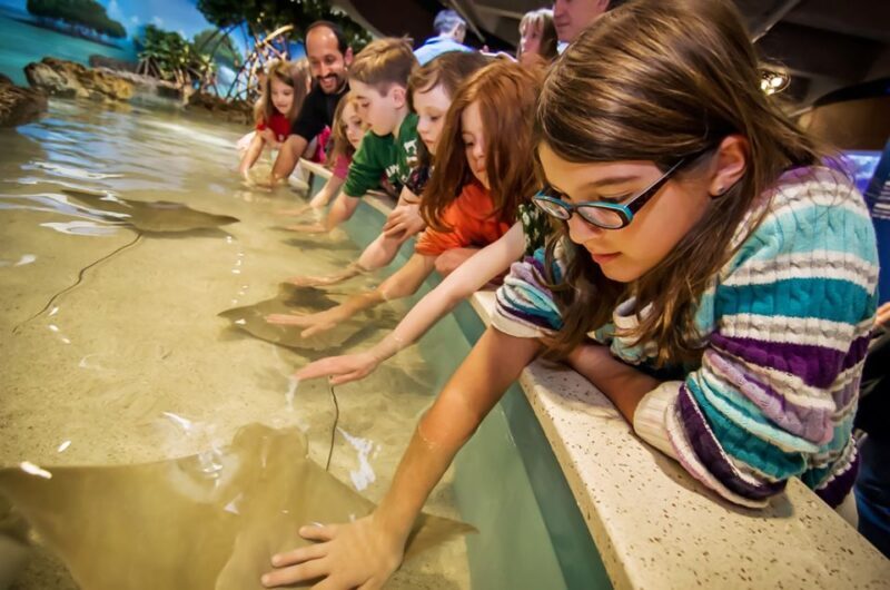 Boston: New England Aquarium Skip-the-Line Entry Ticket - An In-Depth Look at the New England Aquarium