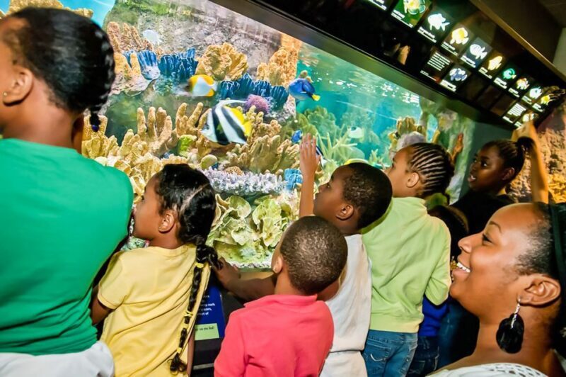 Boston: New England Aquarium Skip-the-Line Entry Ticket - Who Will Love This Experience?