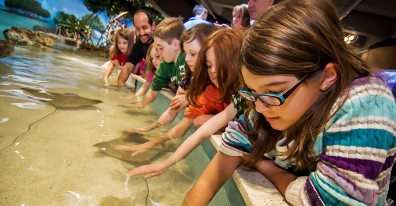 Boston: New England Aquarium Skip-the-Line Entry Ticket - FAQ