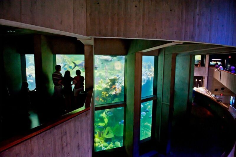 Boston Pass: Save up to 50% - Includes Franklin Park Zoo - Why This Pass Works for You