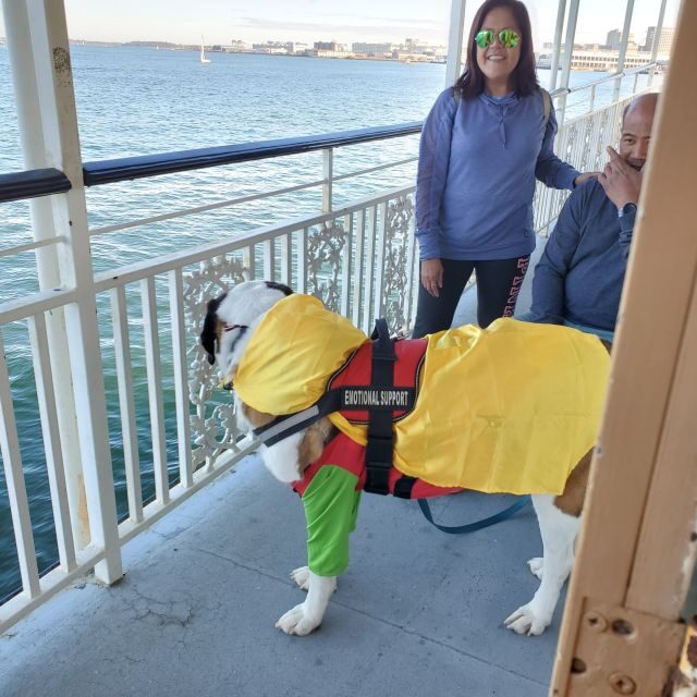 Boston: Scenic Harbor Cruise (Dog-Friendly) - What Travelers Say