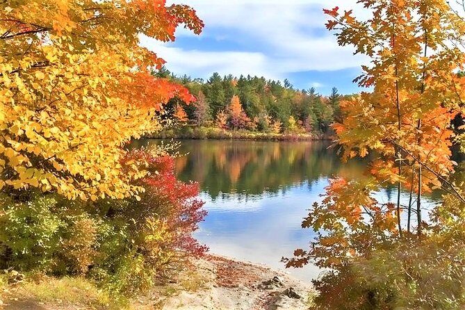 Boston to New Hampshire Fall Foliage White Mountains Day Trip - The Experience: A Deep Dive into the White Mountains Tour