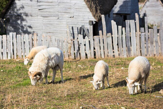 Boston to Plymouth Day-Trip including Quincy, Plimoth Patuxet and Mayflower II - FAQs