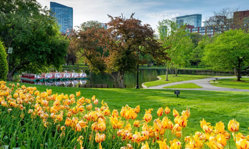 Boston: Votes for Women History Tour of Back Bay - The Detailed Itinerary