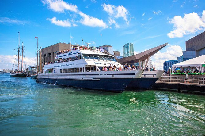 Boston Whale Watching Cruise by High-Speed Catamaran - Authentic Experiences and Real Guest Feedback