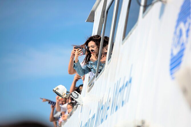 Boston Whale Watching Cruise by High-Speed Catamaran - FAQs