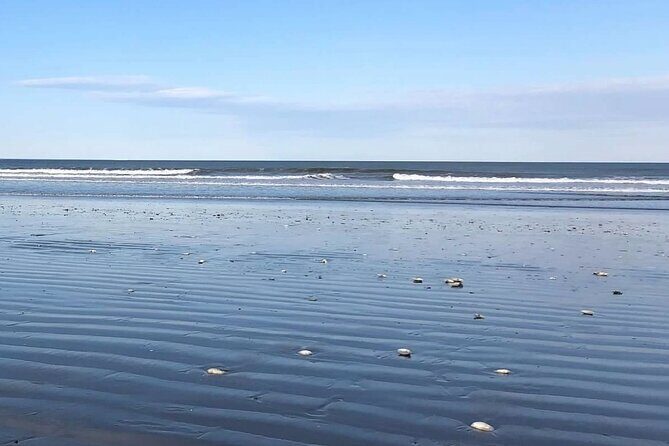 Bostons South Shore: Coastal Driving Tour - Transportation and Group Dynamics