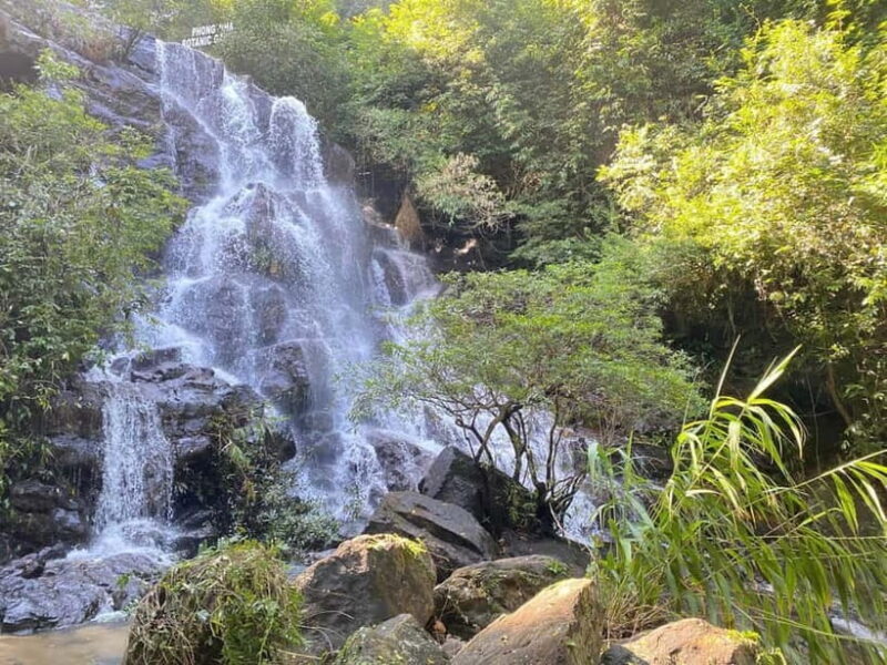 Botanic Garden Jungle Trek & Zipline Adventure Dark Cave - The Sum Up: Who Will Love This Tour?