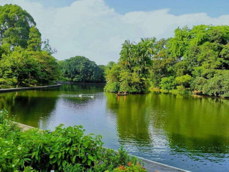 Botanic Gardens & Tiong Bahru Walking Tour with Breakfast - The Itinerary Breakdown