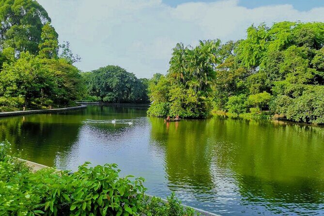 Botanic Gardens & Tiong Bahru Walking Tour with Breakfast - Key Points