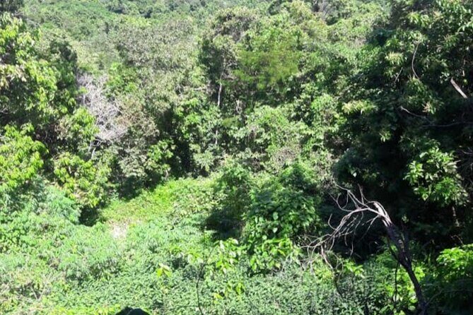 Botanical and Bird Sanctuary Tour in Montego Bay - Authentic Experiences and Real Traveler Insights