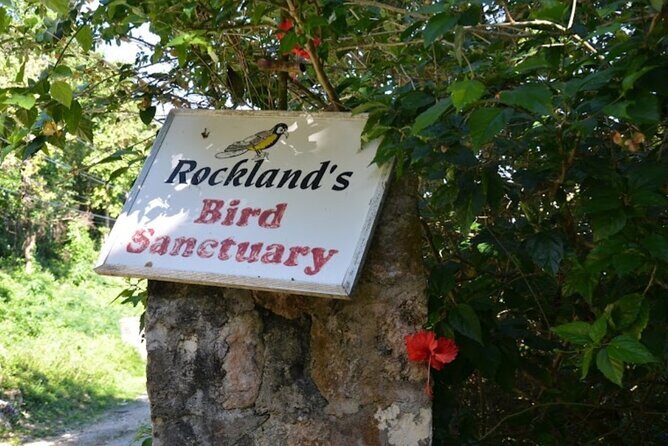 Botanical and Bird Sanctuary Tour in Montego Bay - Who Is This Tour Best For?
