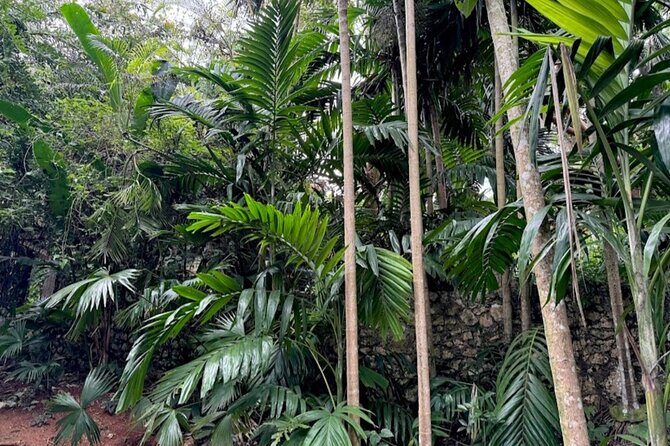 Botanical and Bird Sanctuary Tour in Montego Bay - FAQs about the Botanical and Bird Sanctuary Tour