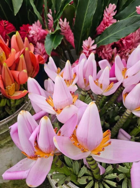 Botanical experience in Argovia: Flowers, Trail, and Tasting - Authenticity and Local Culture