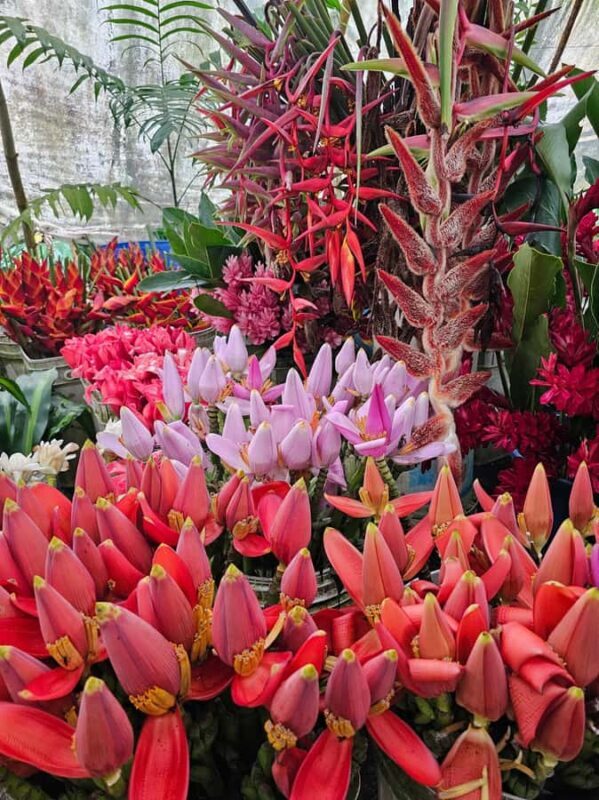 Botanical experience in Argovia: Flowers, Trail, and Tasting - Who Will Enjoy This Tour?